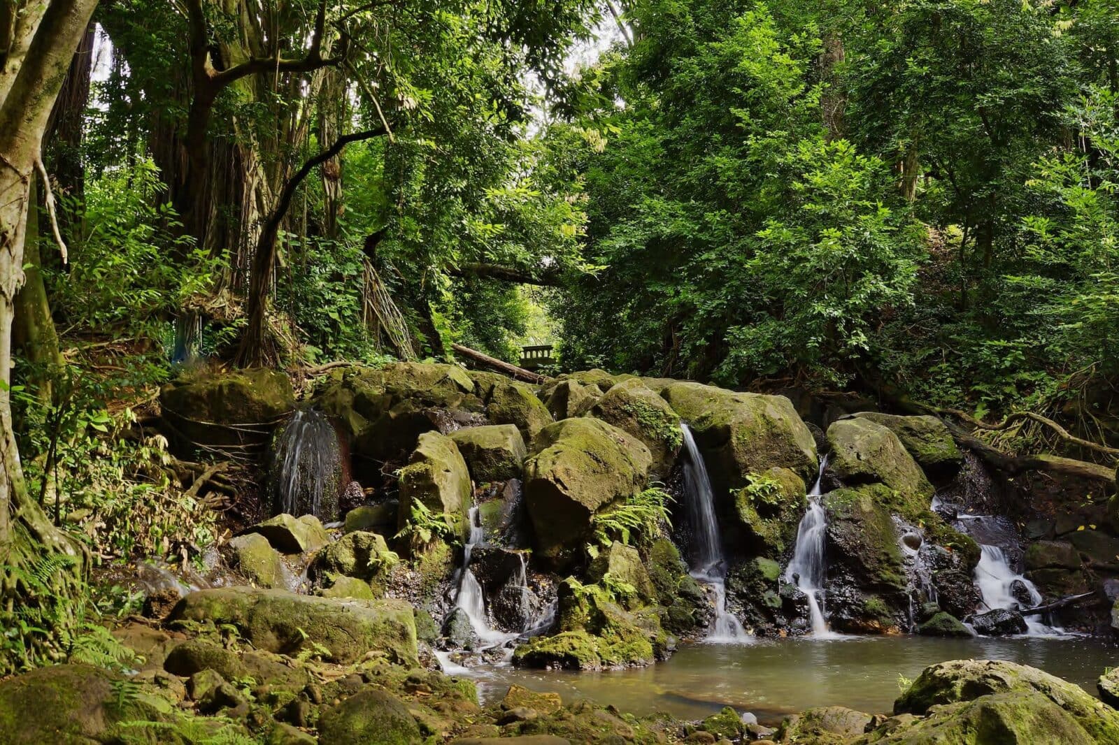10 Favorite O‘ahu Waterfall Hikes (+2 to stay away from)