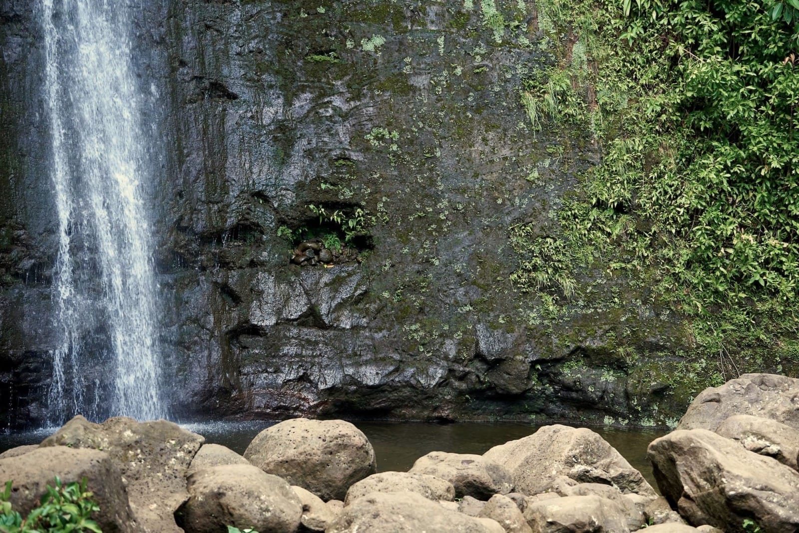10 Favorite O‘ahu Waterfall Hikes (+2 to stay away from)